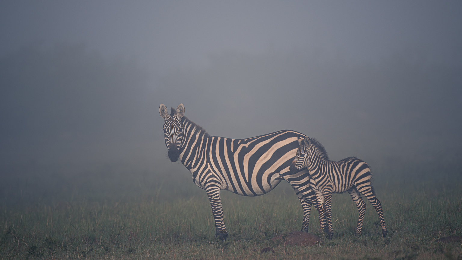 Africa – Ian Mears Photography
